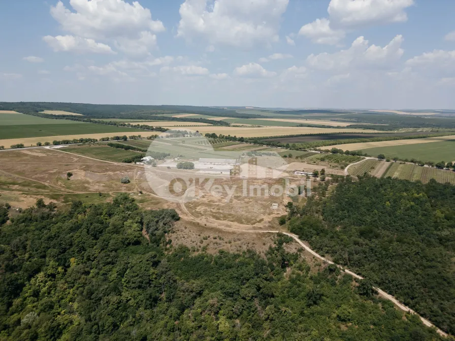 Teren, VÎȘCĂUȚI - O'Key Imobil